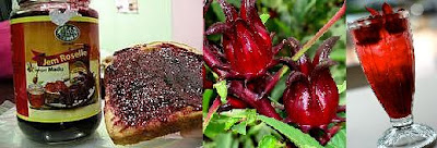 Benefits of Roselle ~ Info And Knowledge