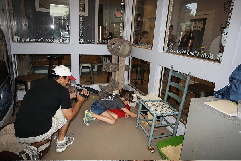 Catnip Nation's June Report: The Plight of a Jones Beach Feral Colony ...