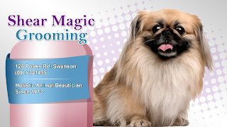 Shear Magic Grooming
