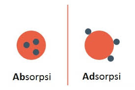 Edukasi Farmasi: EDISI FARMAKOLOGI - PRINSIP FARMAKOKINETIKA