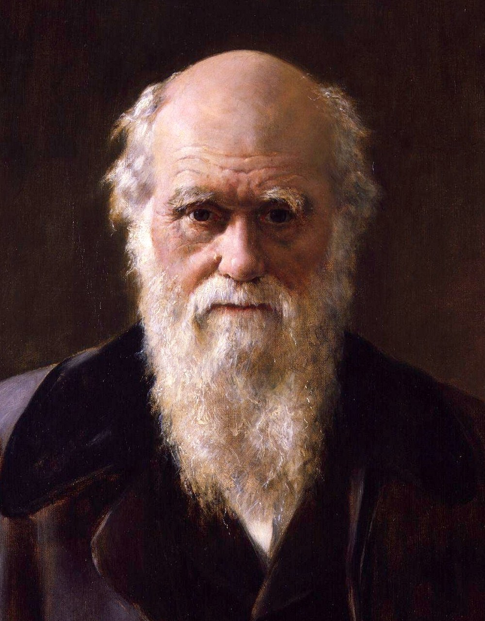Por dentro do Mundo das Células: Charles Darwin Por dentro do Mundo das Células: Charles Darwin