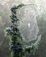 Beautiful Pinterest Pictures