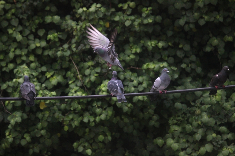 David Lepper DSDN 144 Photography: Short exposure photo