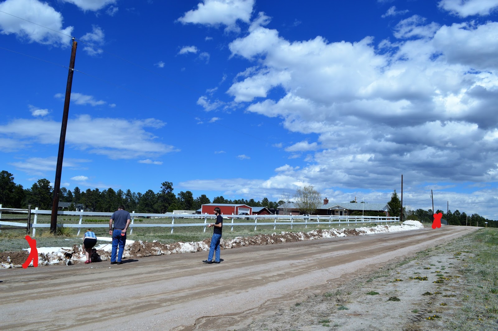 Courageous Joy: Pacing off 5 Acres