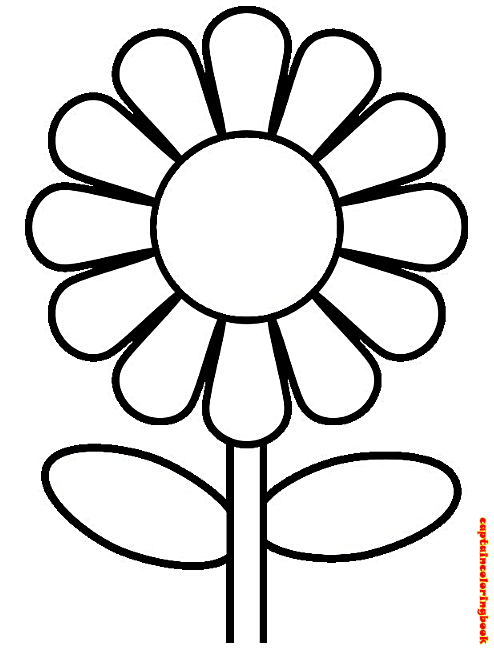 Coloring book pdf download