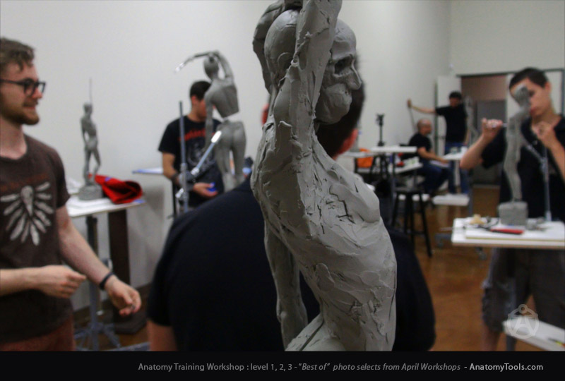 AnatomyTools.com: 2015 Photo Album - Human Anatomy Workshops "Best-of"