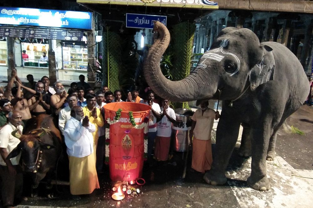 December 2017 - ARUNACHALA GRACE