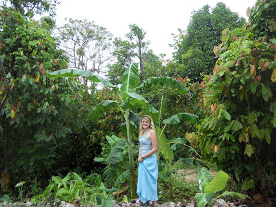 A Picture A Day!: Macca Tree Church of Christ service was definitely an ...