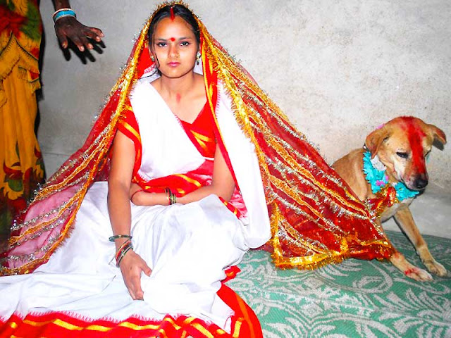 HUMAN-ANİMAL MARRİAGE