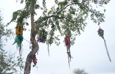 The Mutant Piñata Show opens