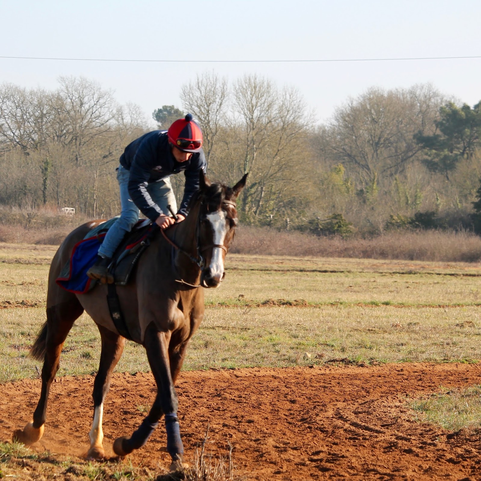 Venez découvrir les chevaux de course le temps d'une matinée - Mescam ...