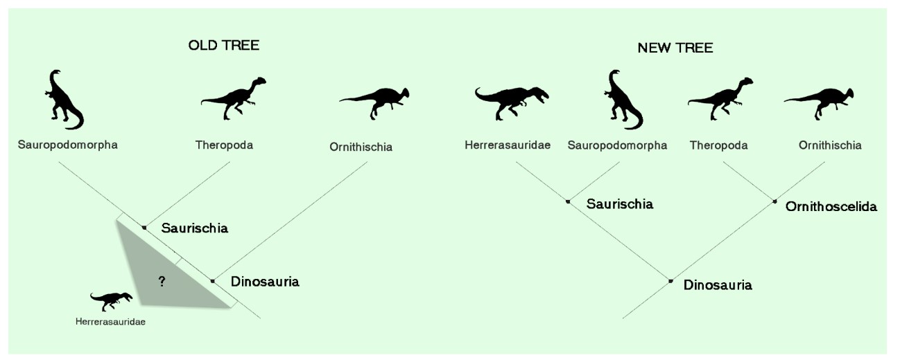 De Rerum Natura: A nova hipótese de classificação dos Dinosauria