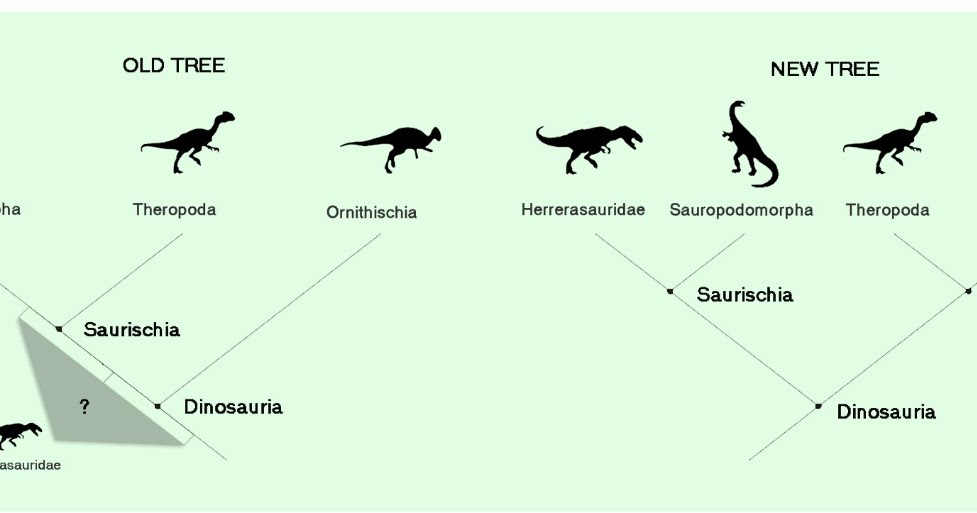 De Rerum Natura: A nova hipótese de classificação dos Dinosauria
