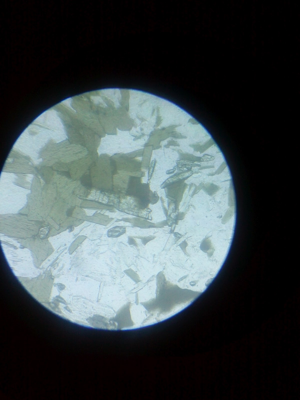 Vida Microscópica: Xisto