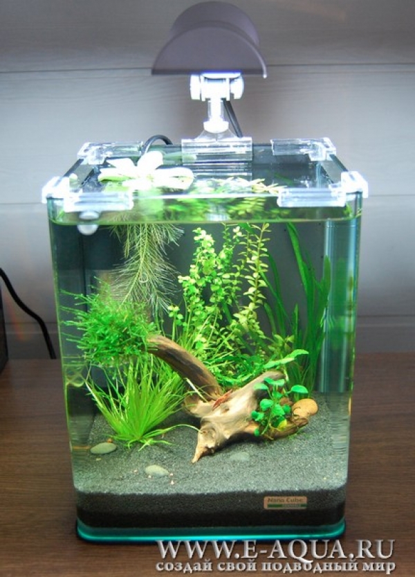 Создай свой подводный мир.: Nano Cube 10L. (запуск)