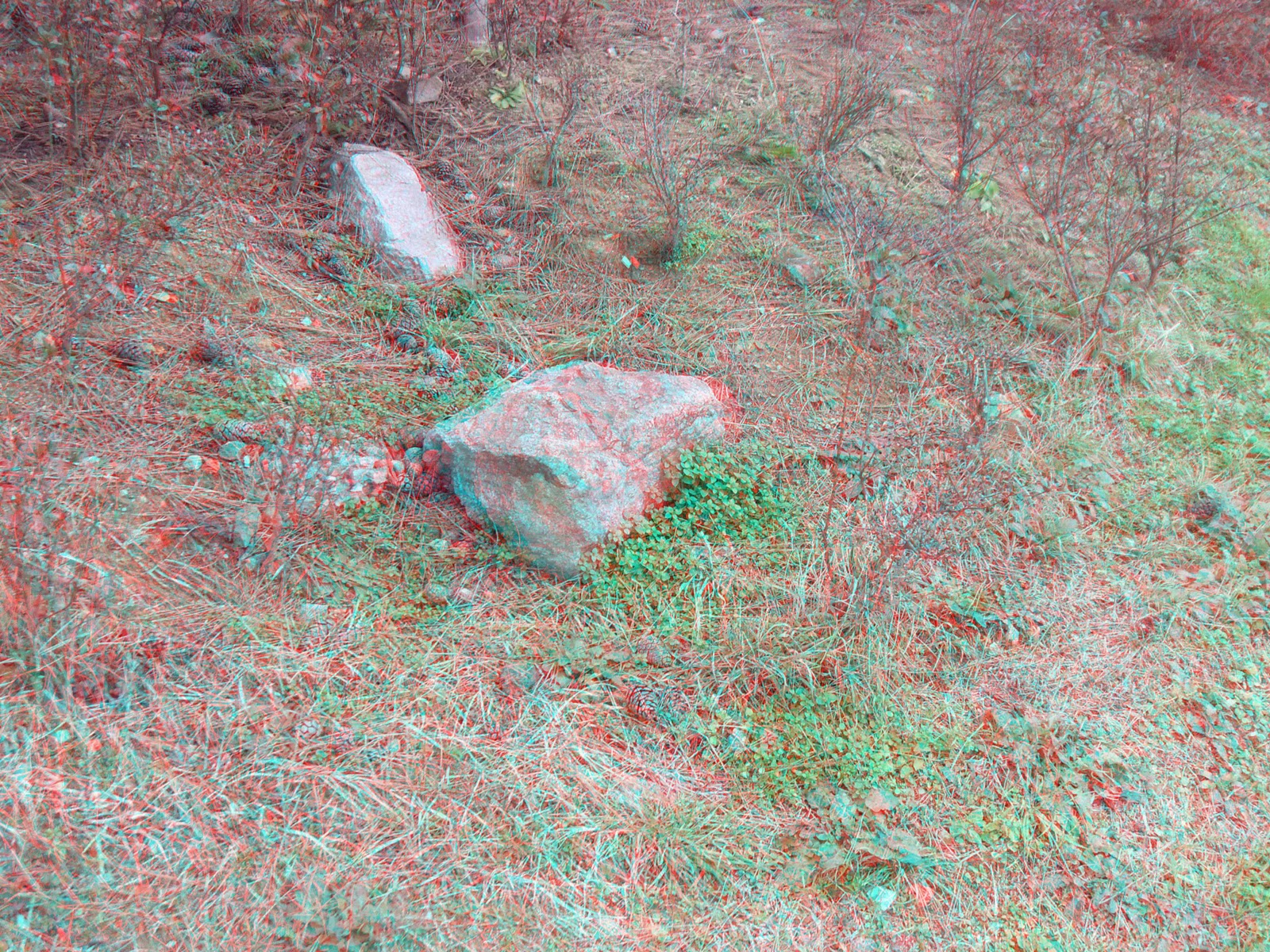 Craig's 3D in the News: Sample 3D Photos Part 10