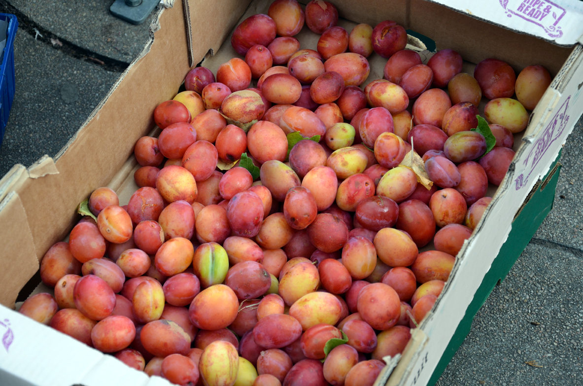 North Fife: Newburgh Orchard Fruit Sale