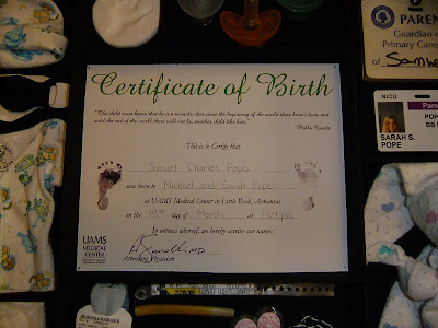 Parenting the Preemie Pope: NICU Shadow Box