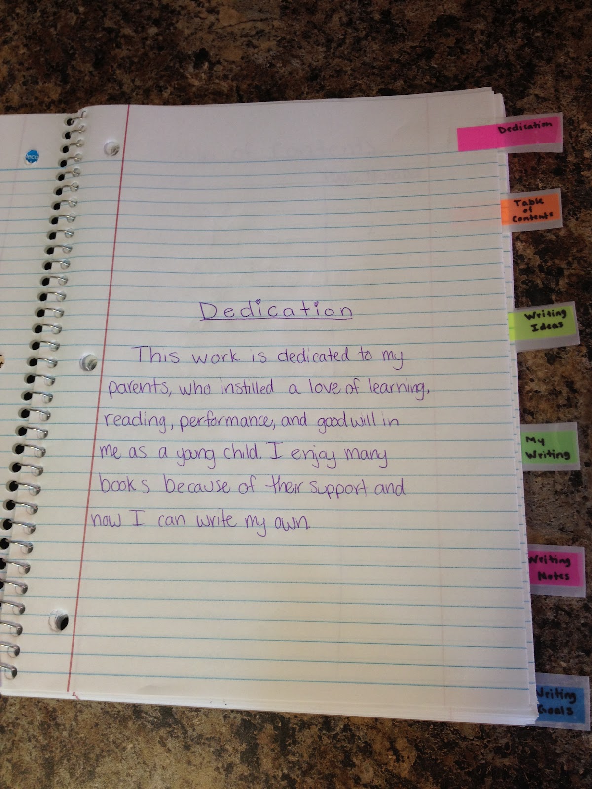 Apples of Your Eye! ~*~: Writer's Notebook Organization!