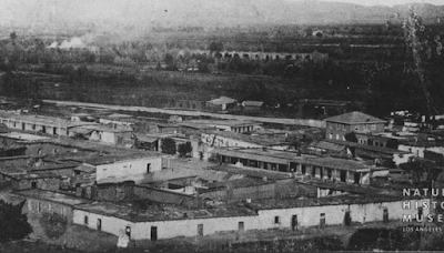 Wandering In LA: Brass Knuckles, Female Boarding, and Quadruped ...