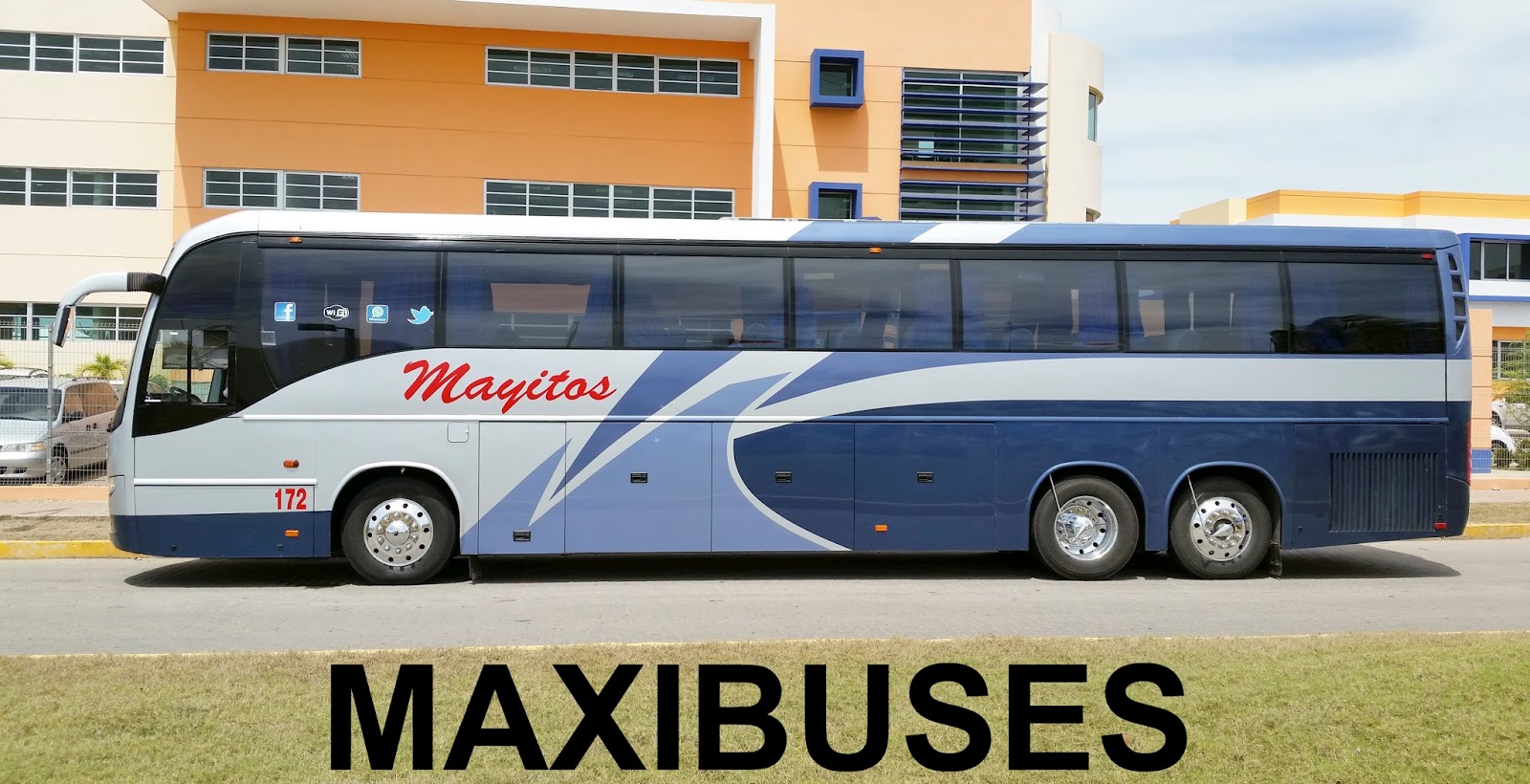 MAXIBUSES: AUTOBUSES LOS MAYITOS