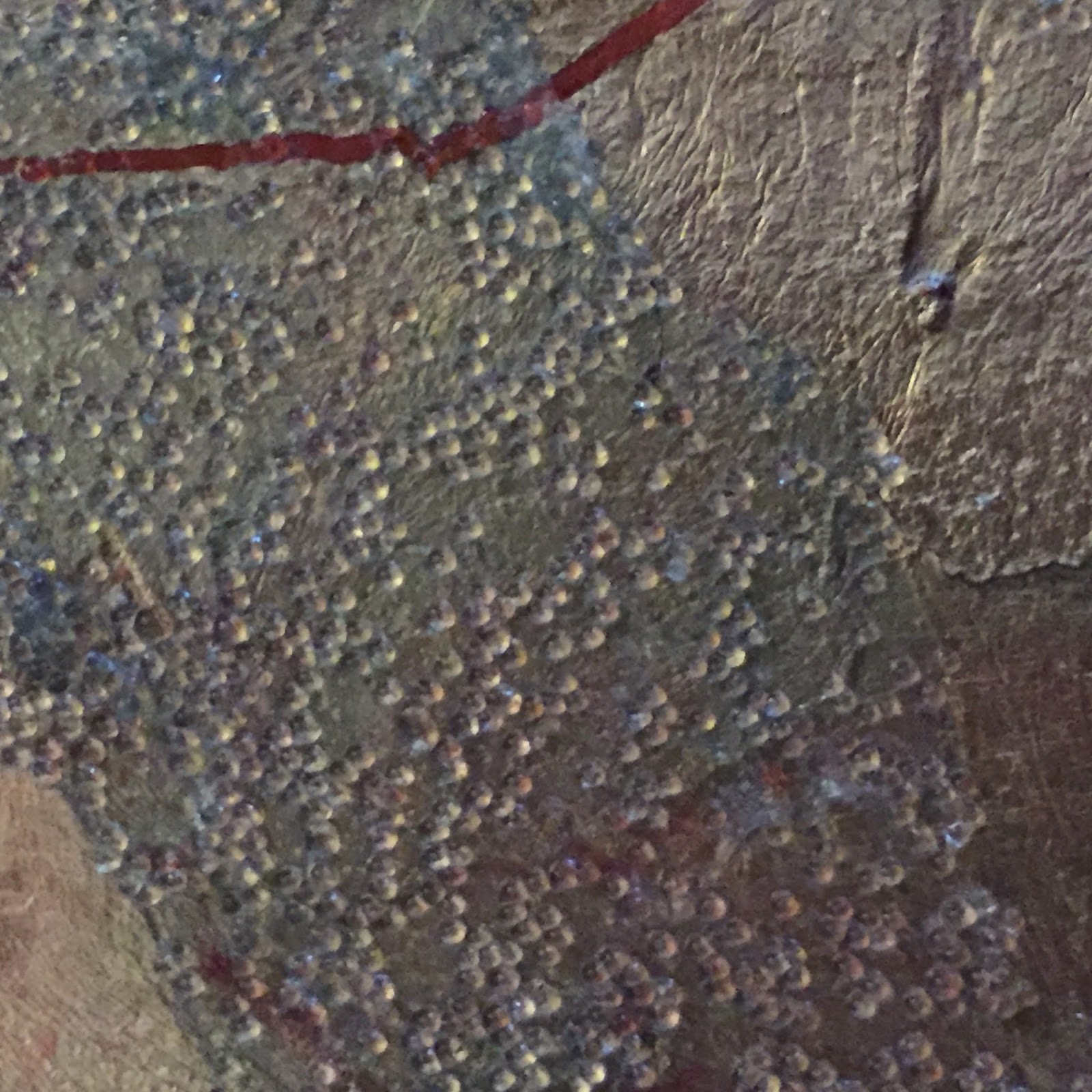 Experiments in Paper: Abstracted Light and Texture