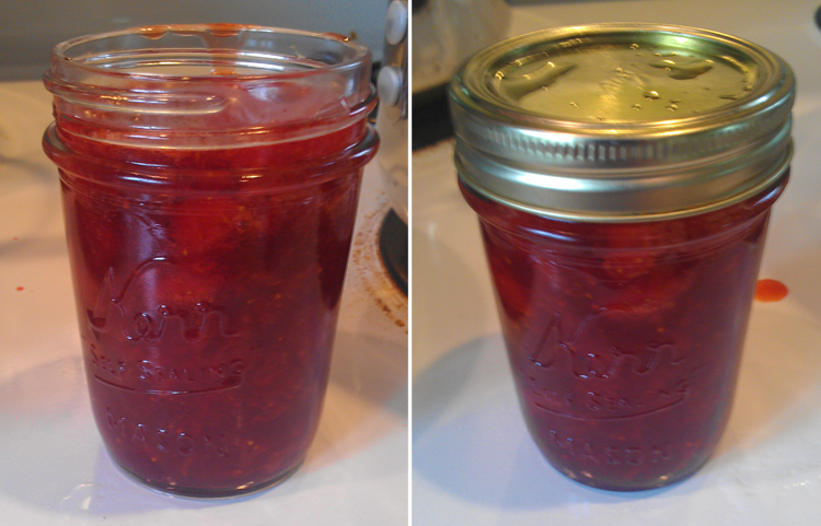 A Delightful Journey: Jam: Beginners Edition