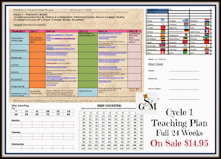 Solagratiamom: ON SALE! Enrichment Teaching Plan -Cycle 1