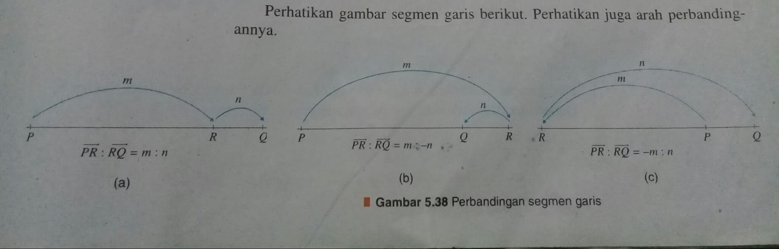Vektor: Perbandingan Ruas Garis dalam Bentuk Vektor