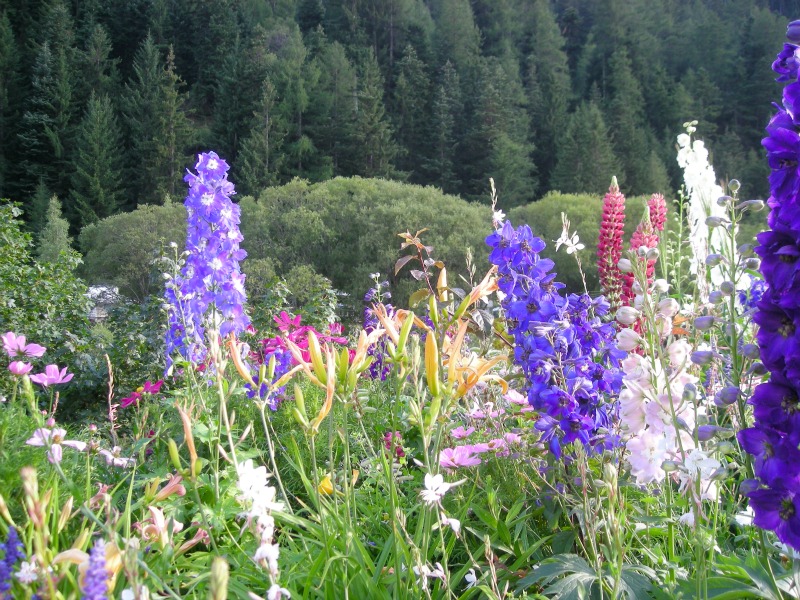 Annuk Creations - Color and Light Inspirations in Jewelry: SUMMER ...