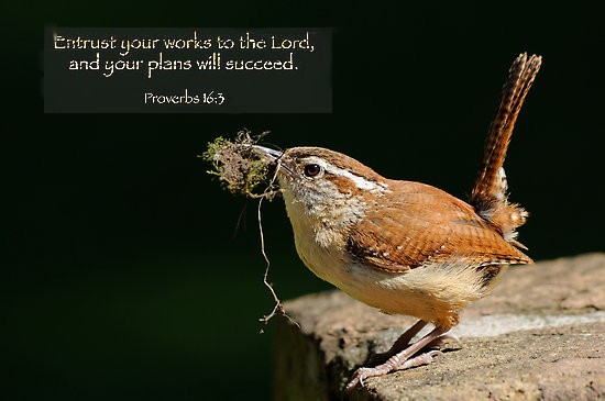 Scripture for Today: Psalm 84 ~ even the sparrow finds a home