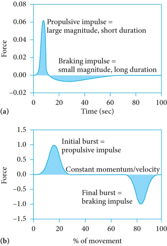 Dr. Knight's Insights: Kinesiology and the 2016 Olympics Part III ...
