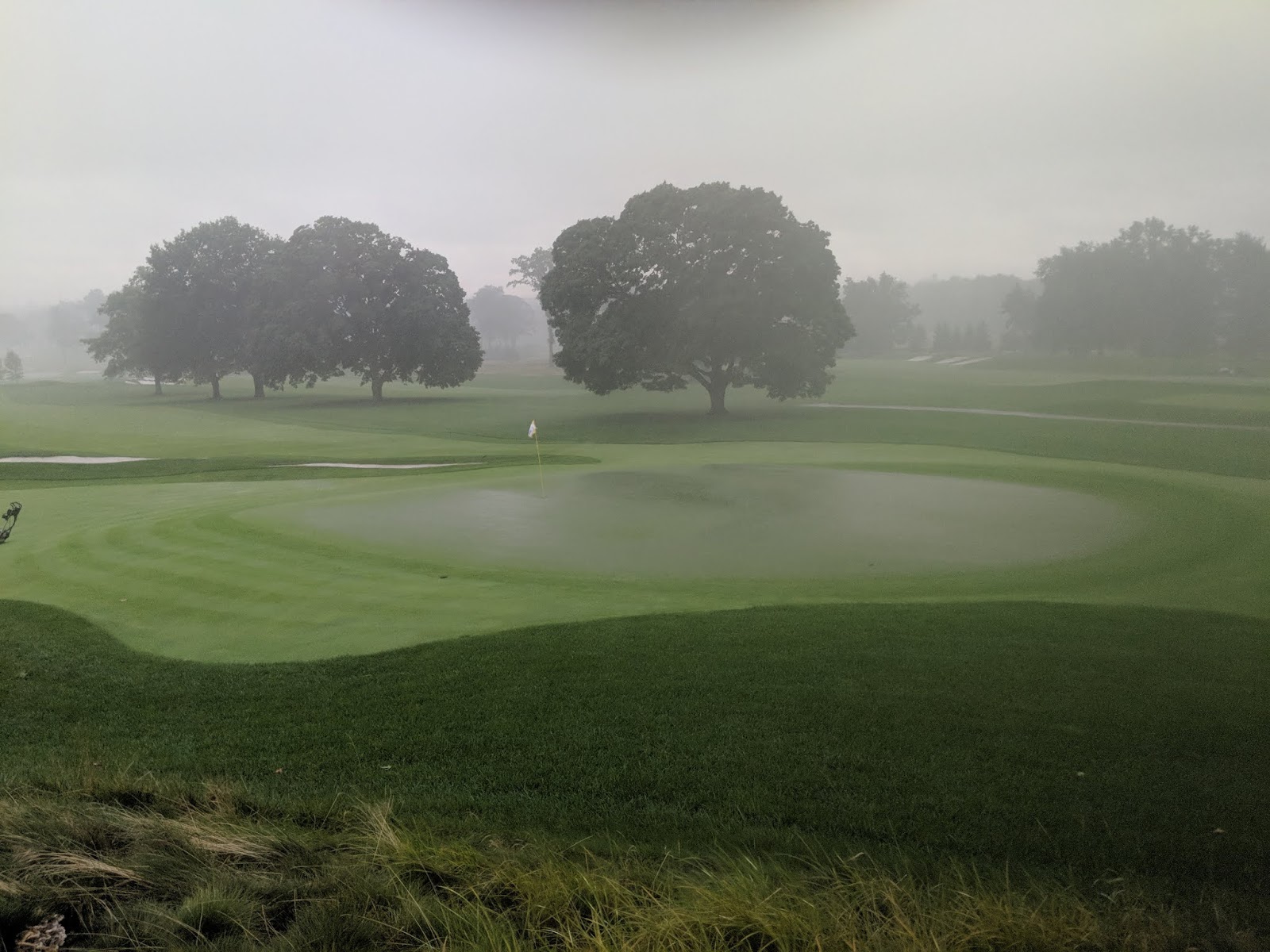 Arcola Country Club: 2018
