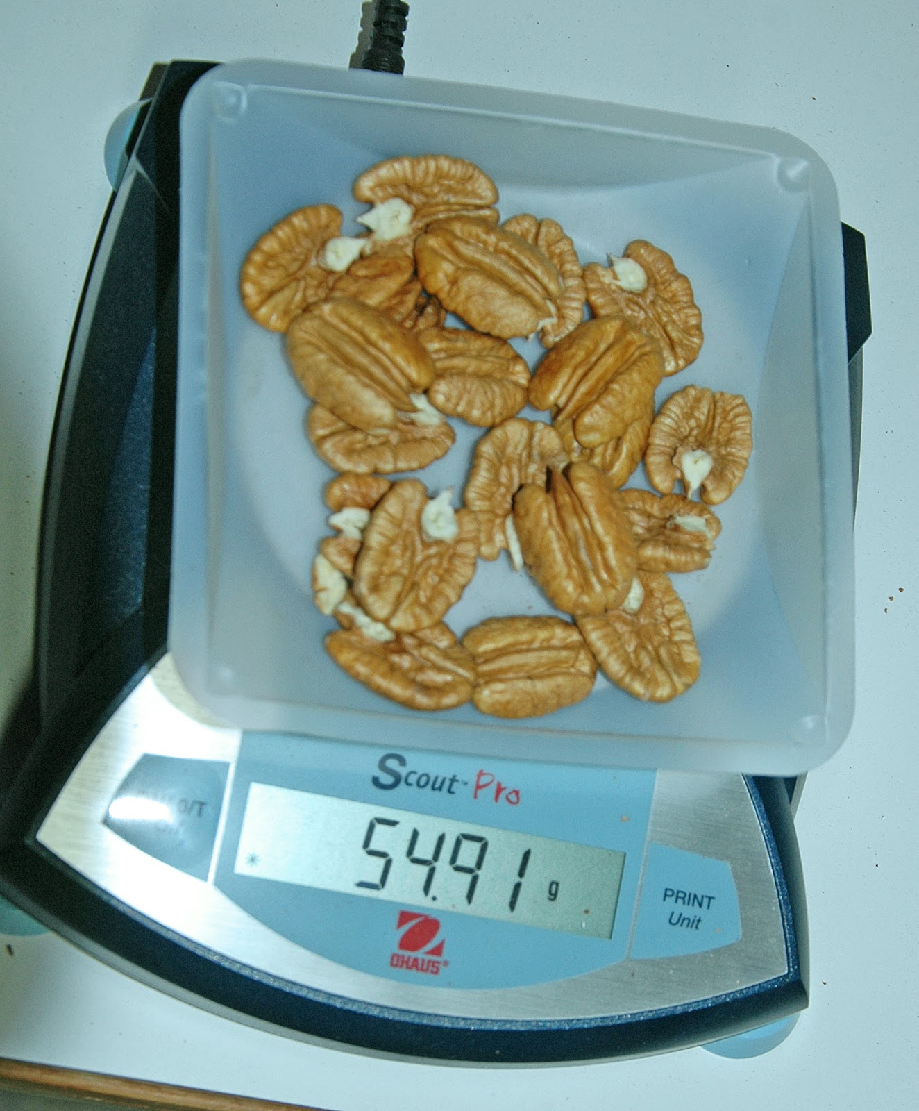 Northern Pecans: Evaluating nut samples
