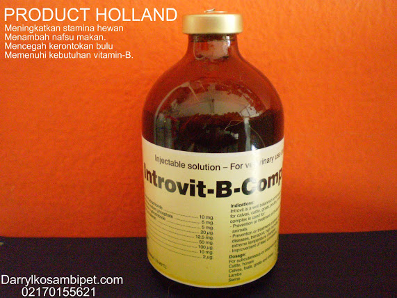 INTROVIT- B - COMPLEX,Vitamin anjing/Hewan