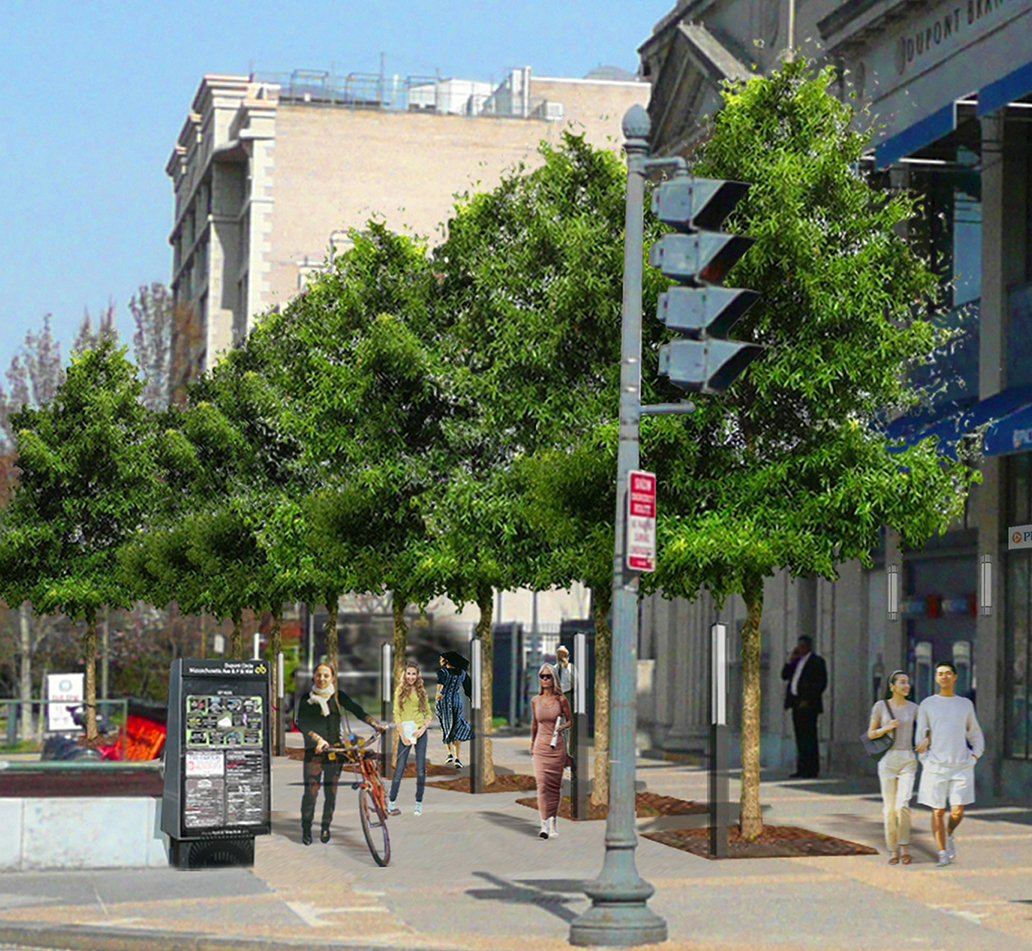 Tree Care Stories from Restore Mass Ave: Giant Step for Tree Plaza at ...