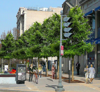 Tree Care Stories from Restore Mass Ave: Giant Step for Tree Plaza at ...
