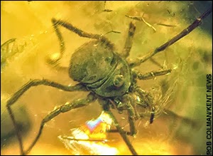 Sharks & Prehistory: PREHISTORIC INSECTS