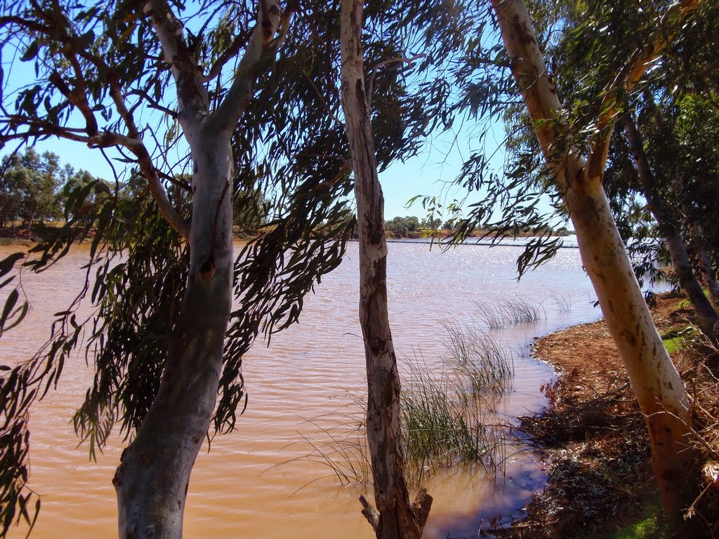 Solo Steve On The Road: ONSLOW and OLD ONSLOW FREE CAMP WA
