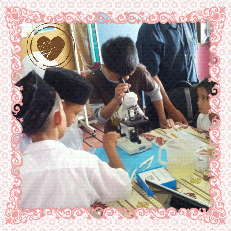 Sekolah Rendah Pehin Dato Jamil: 2012