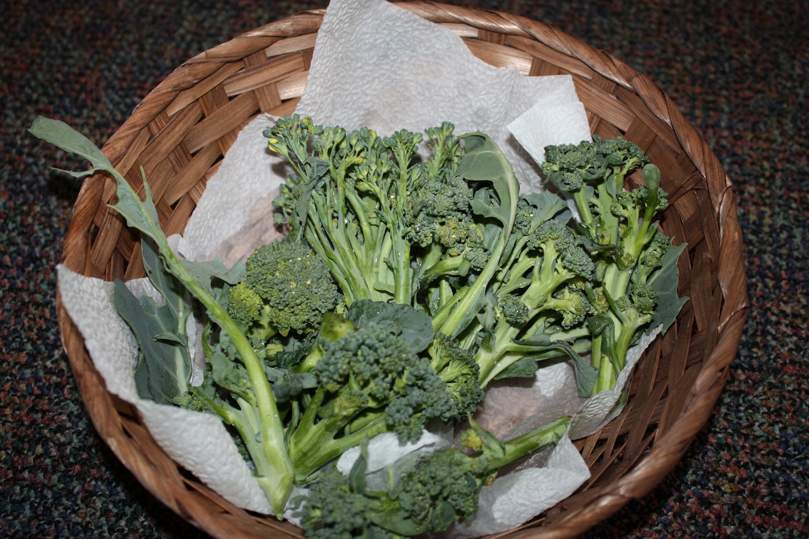 Mrs. Atkin's Kindergarten: Environmental Print and Broccoli From the Garden