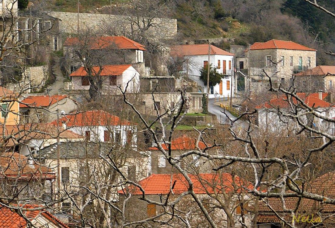 Homo Universalis: ΚΟΣΜΑΣ & ΛΕΩΝΙΔΙΟ ΑΡΚΑΔΙΑΣ - ΦΩΤΟΓΡΑΦΙΚΟ ΑΛΜΠΟΥΜ ΤΗΣ ...