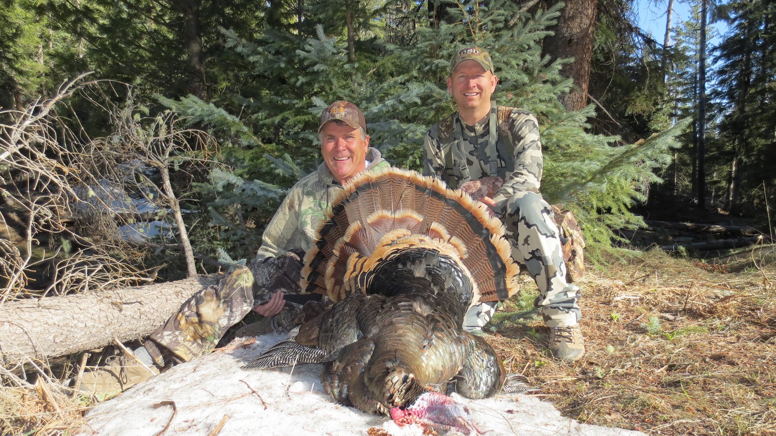 2013 Merriams Spring Turkey Hunt Pics - Jay Scott Outdoors/Colburn and ...