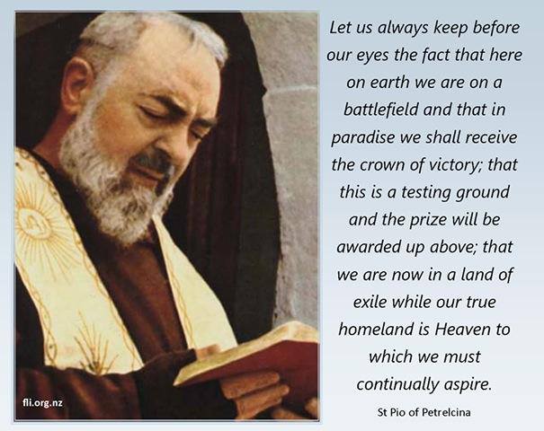 Little Plant of St. Francis: St. Padre Pio Quotes