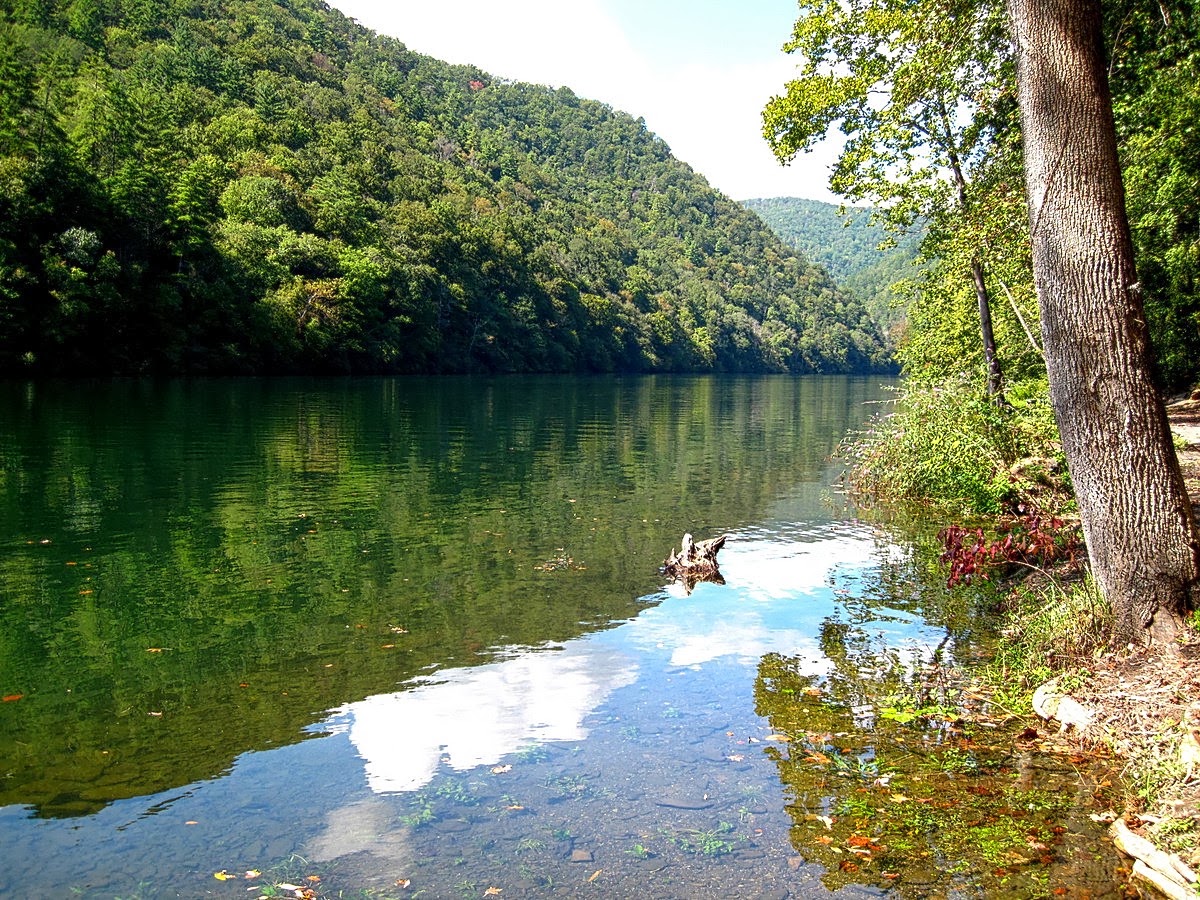 Best local camping spots? : r/Knoxville