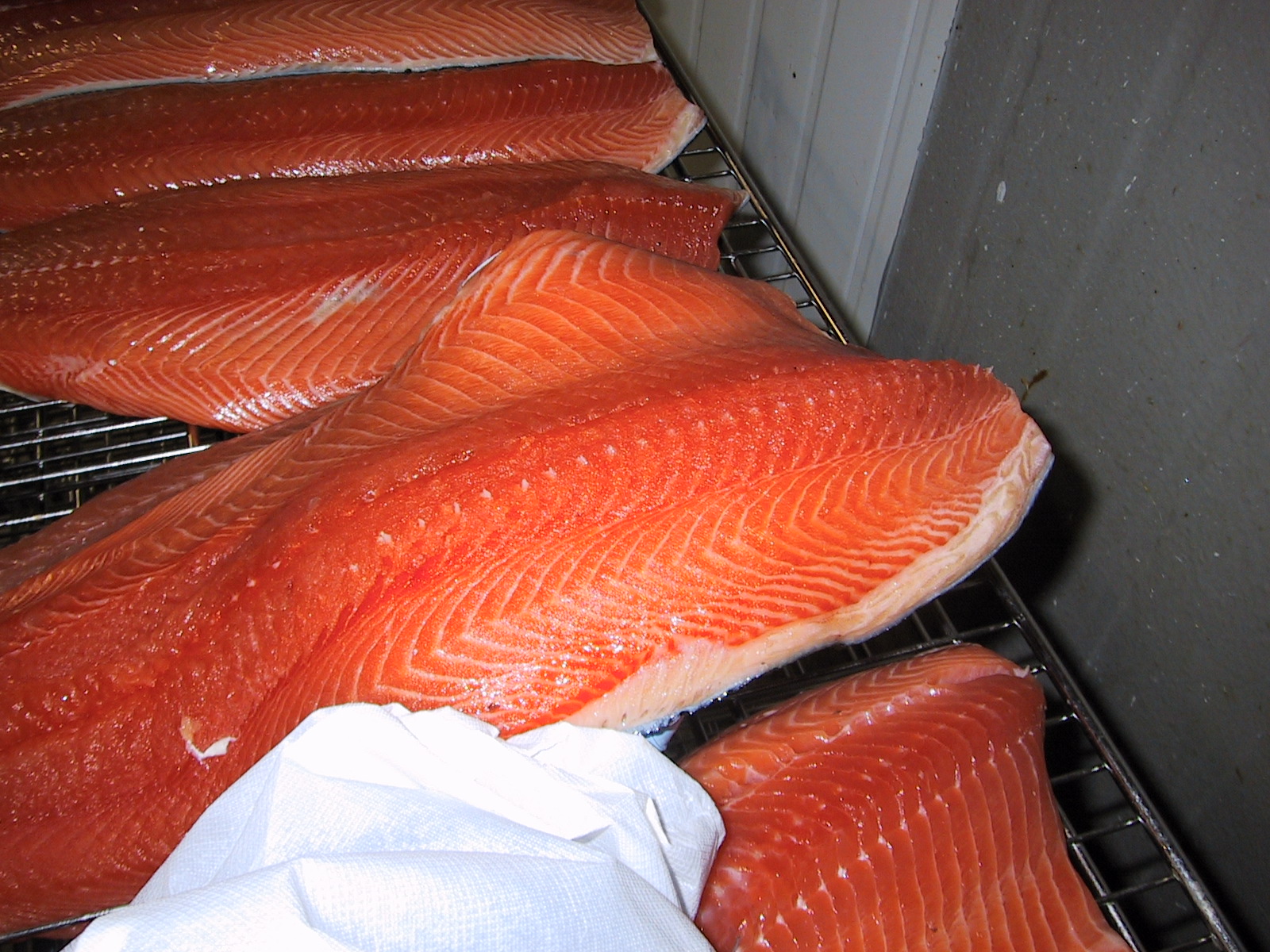 SmartAqua Forum: Pre-Rigor Filleting - the answer to year round ...