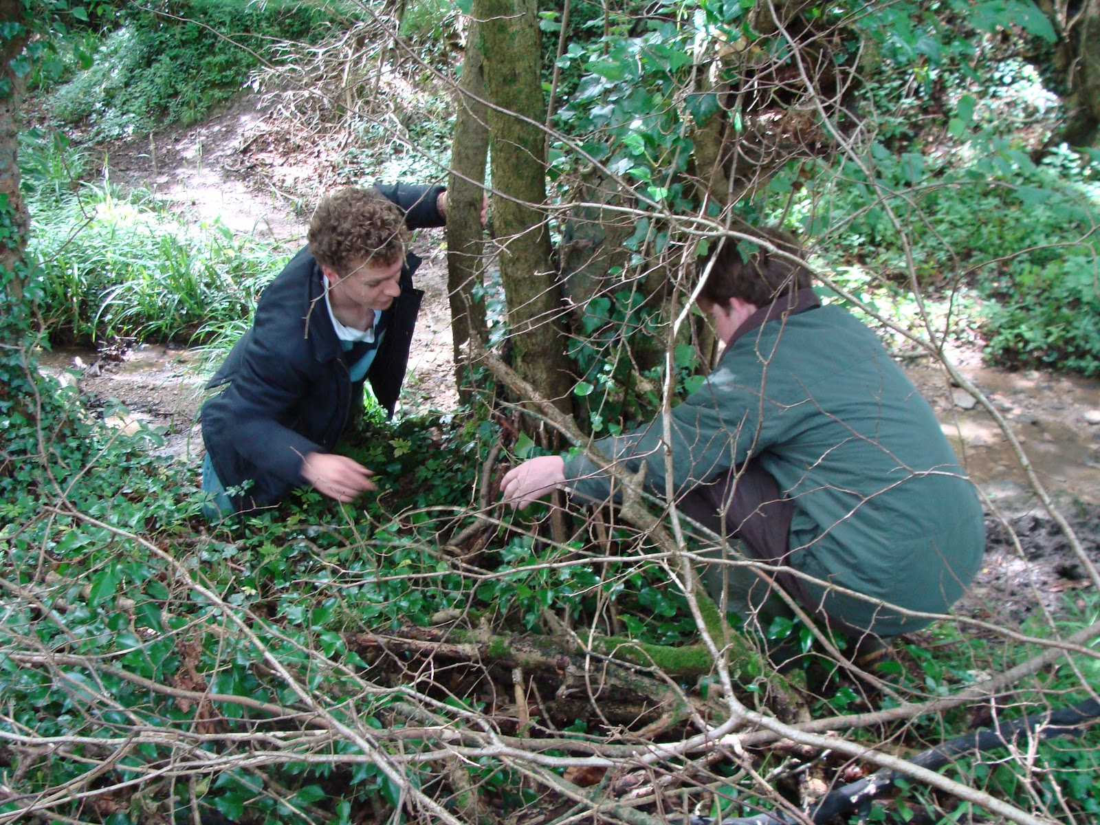 The Barn, Woodrow Farm