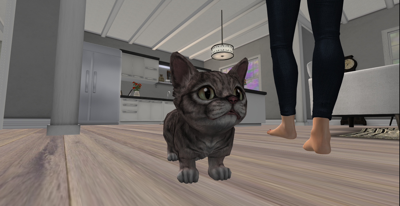 Watch this Virtual Space: Fast post about Second Life Pets