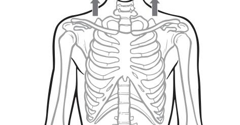 THREE WAYS OF BREATHING