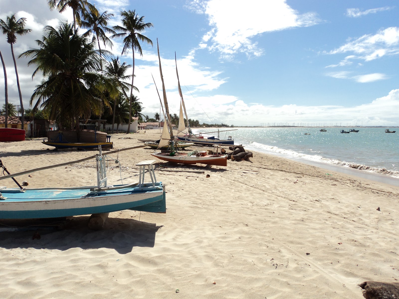 Só sombra e água fresca: Passeio do dia: PRAIA DE PITITINGA e TOUROS!